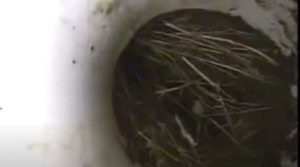 Types of Sewer Pipes: Pros and Cons - Plumbing Sniper