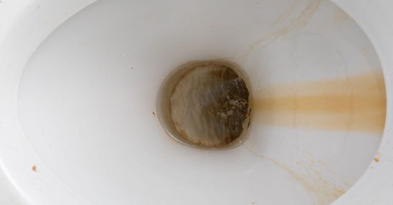 How to Remove Limescale/Calcium Buildup from a Toilet - Plumbing Sniper