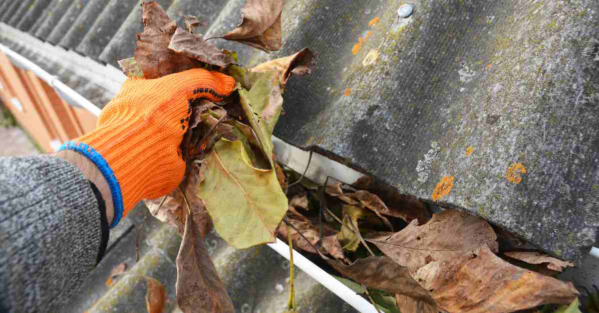 7 Annual Home Maintenance Tasks Every Homeowner Needs | Plumbing Sniper
