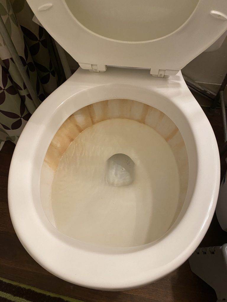 15 Toilet Problems You Will Regret Ignoring | Plumbing Sniper