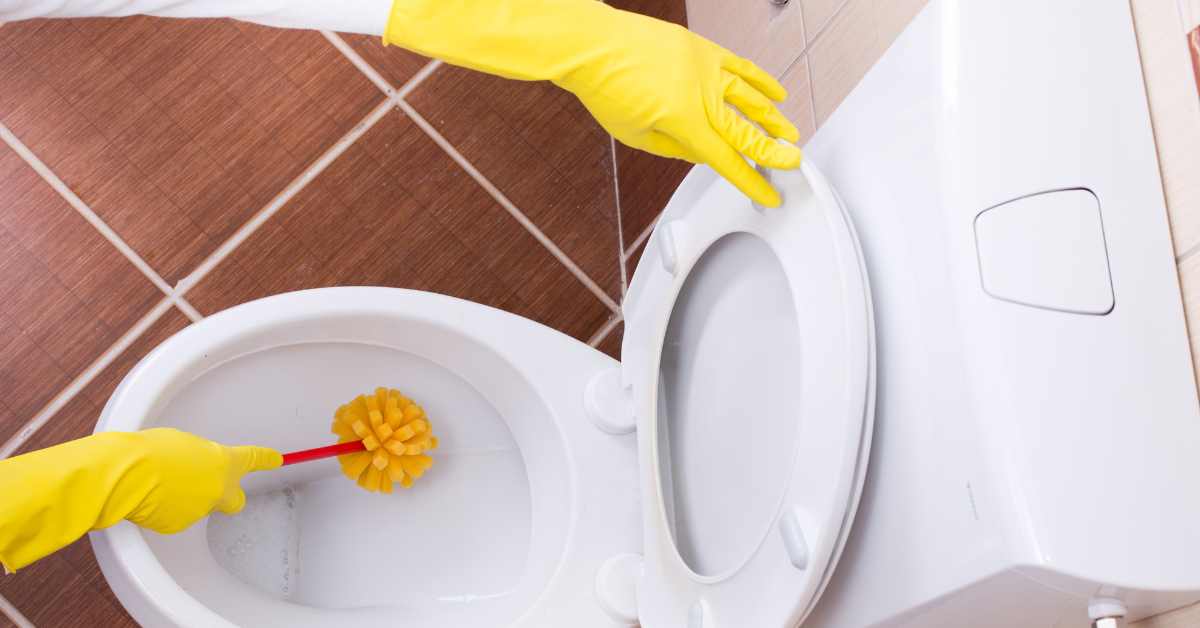 Best Natural Remedies for a Sparkling | Plumbing Sniper