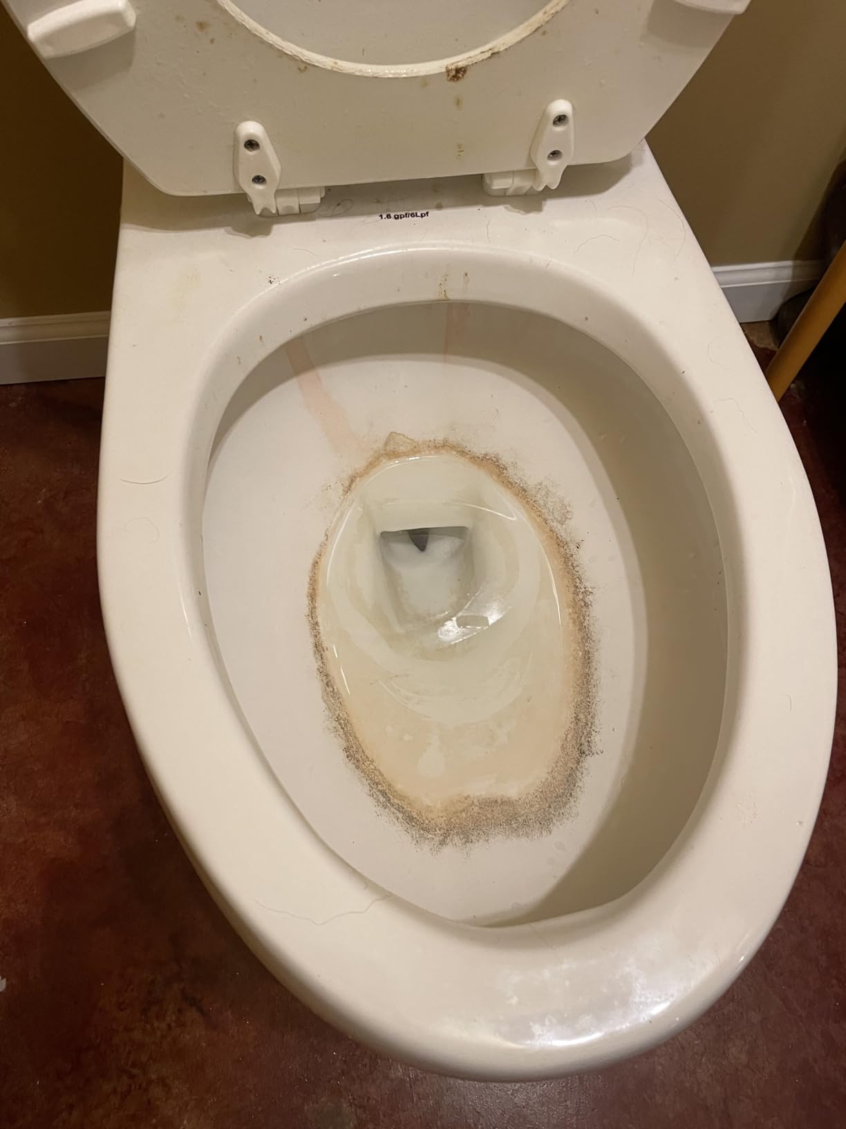 Best Natural Remedies for a Sparkling Clean Toilet Bowl - Plumbing Sniper